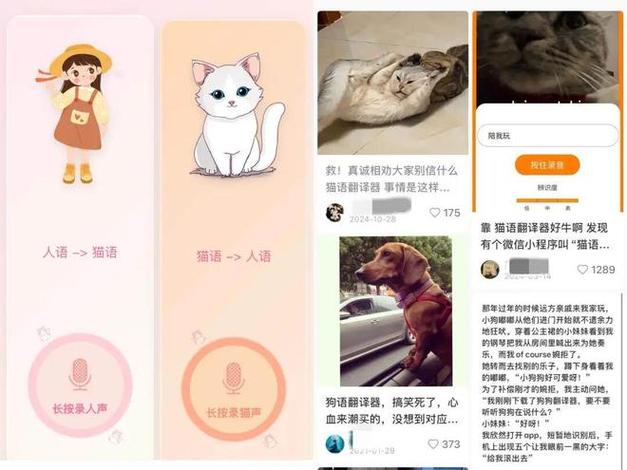 猫咪视频会员账号图标