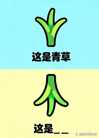 脑洞大挑战76关答案