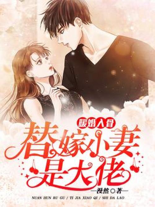 入骨暖婚小说图标
