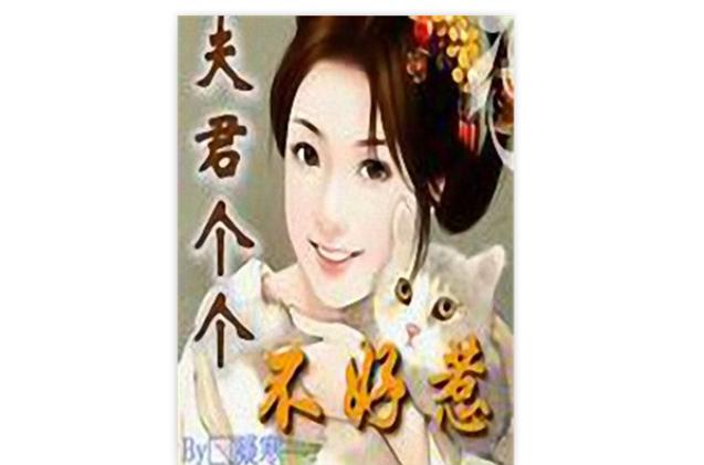 《夫君个个不好惹》