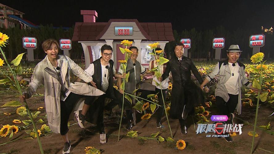 极限挑战烧脑合集图标