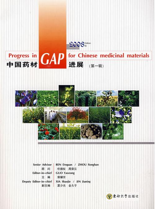 药学GAP图标