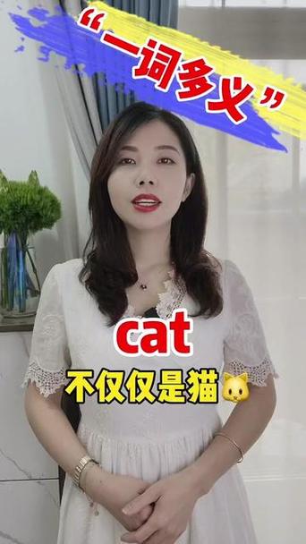 cat什么档次图标