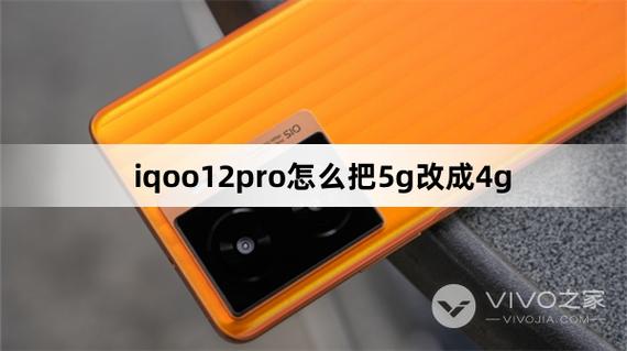 vivo怎样把4g改成5g显示游戏截图