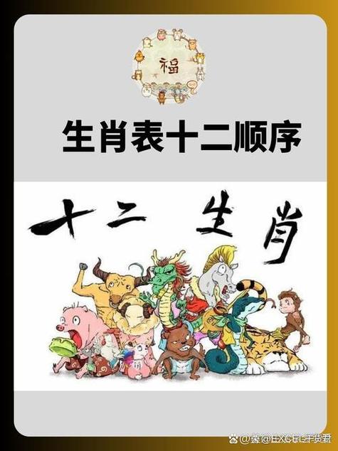 千金打一生肖最佳答案图标