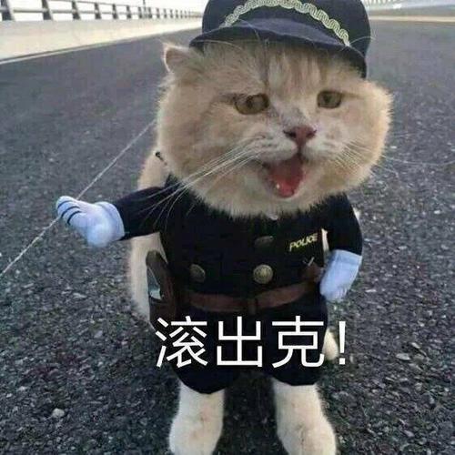 滚出来表情包图片图标