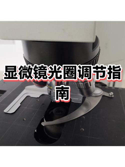 80d光圈调节在哪里图标