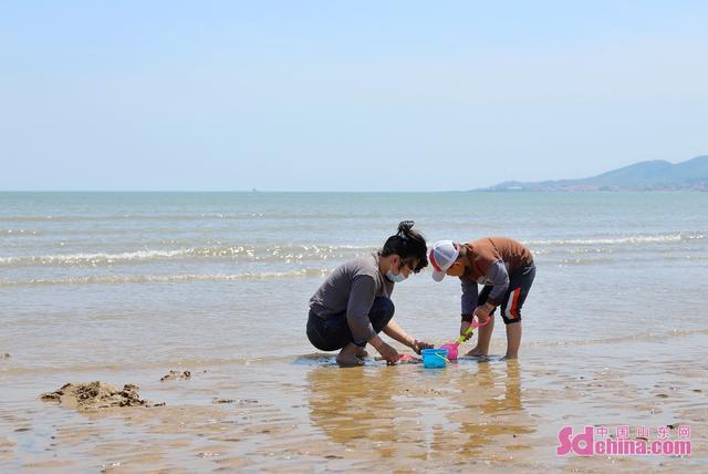 赶海捡贝壳视频图标