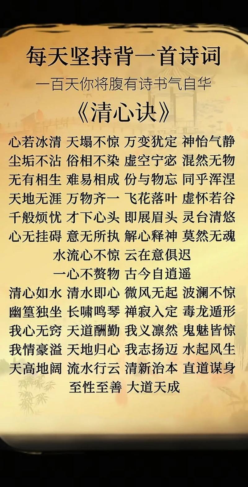 医武风流阴阳圣心诀截图