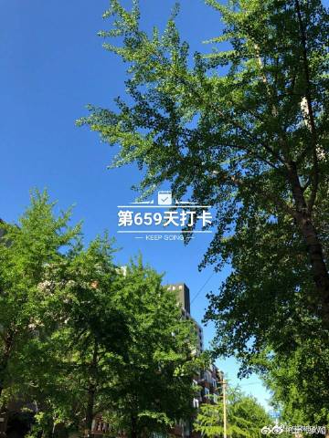 转发文章群图标