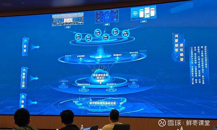 有时数联截图