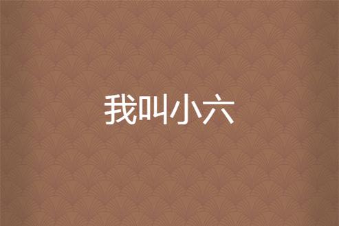 小六小说图标