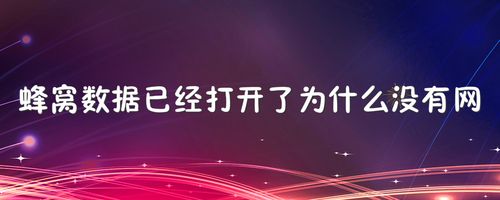 打开数据没有网图标