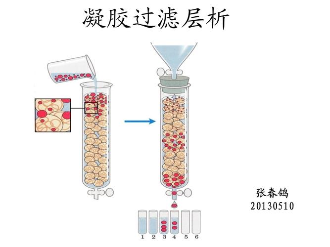 层析和过滤的区别截图