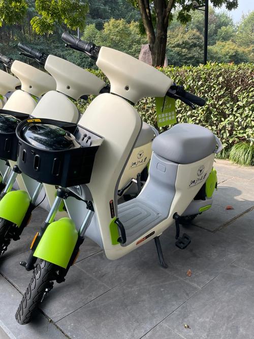 安信花app改名叫什么了图标