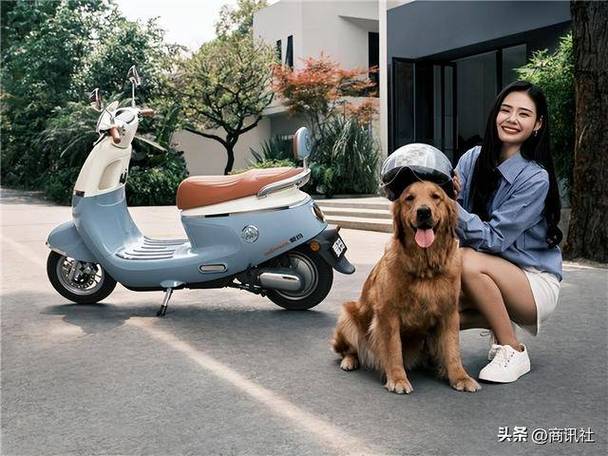 爱玛电动车车钥匙使用说明图标