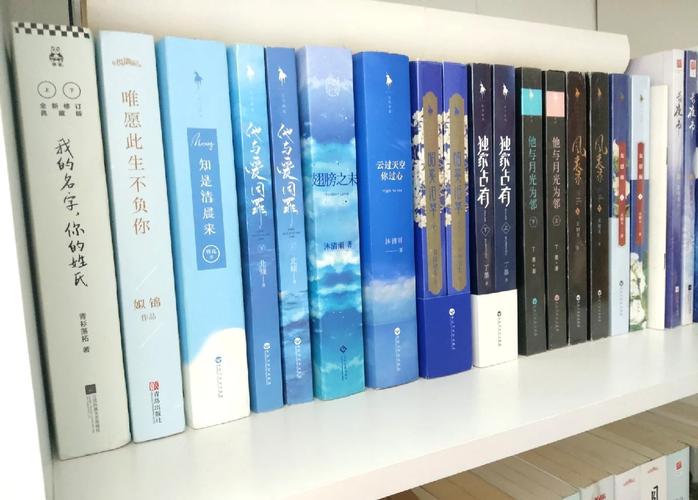 畅悦小说图标