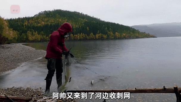 荒野独居给50选10规则截图