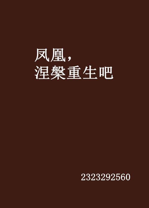 凤凰小说免费阅读网图标
