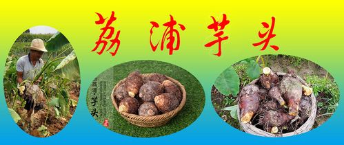 香芋超市多少钱一斤