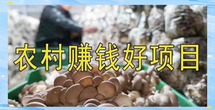 致富创业项目