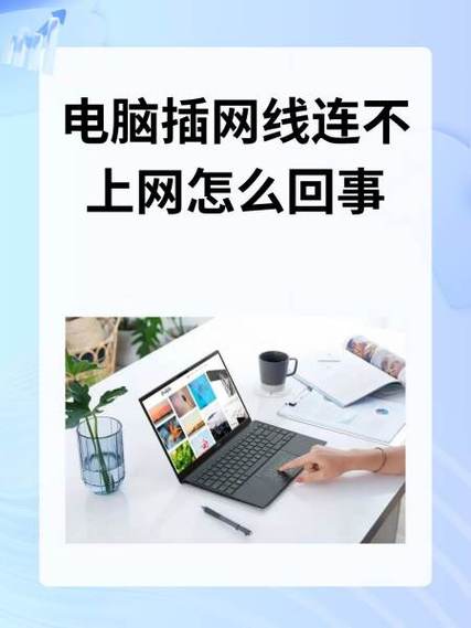 插了网线还是没网是怎么回事截图