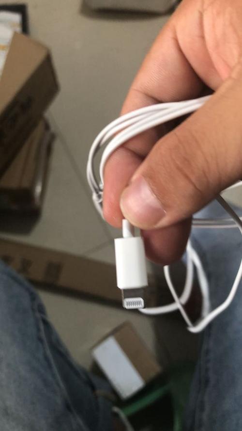 EarPods正品查询入口图标