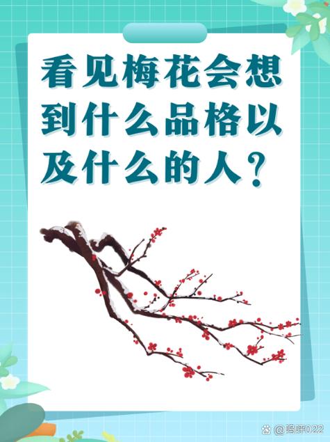 梅花最大特点是什么图标