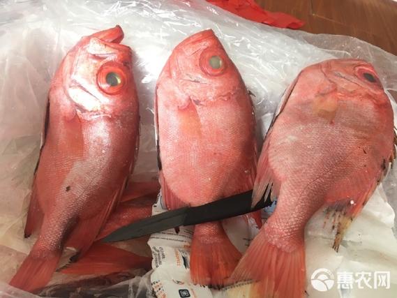 冻海鱼怎么做好吃又简单图标