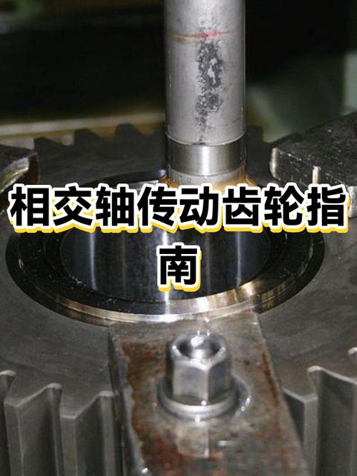 内齿轮旋向怎么区分左右图标