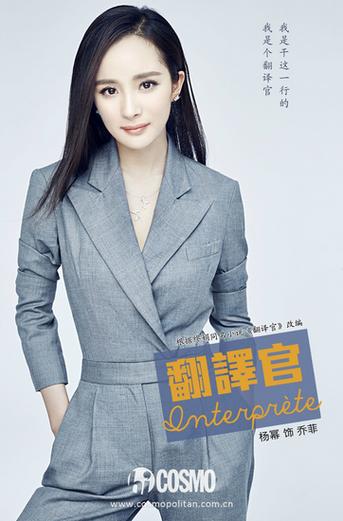 电视剧《女翻译官》免费观看