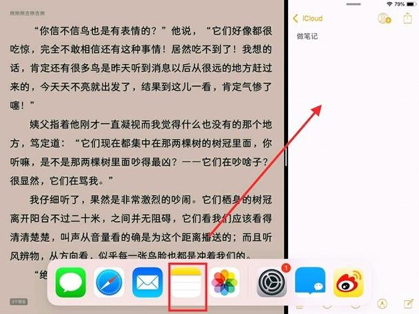 ipad mini5分屏的方法图标
