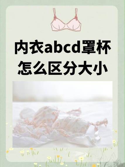 内衣罩杯选大点还是小图标