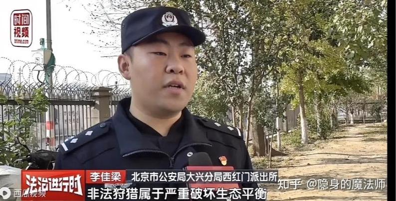 打鸟要拘留多久图标