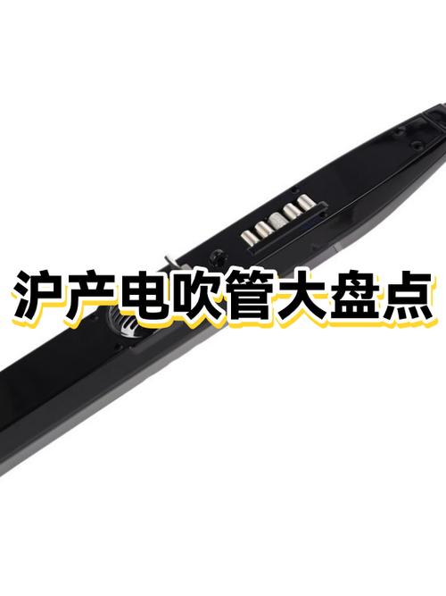 电吹管十大名牌排行榜图标
