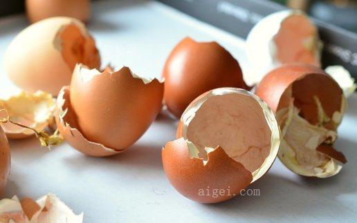 egg shell图标