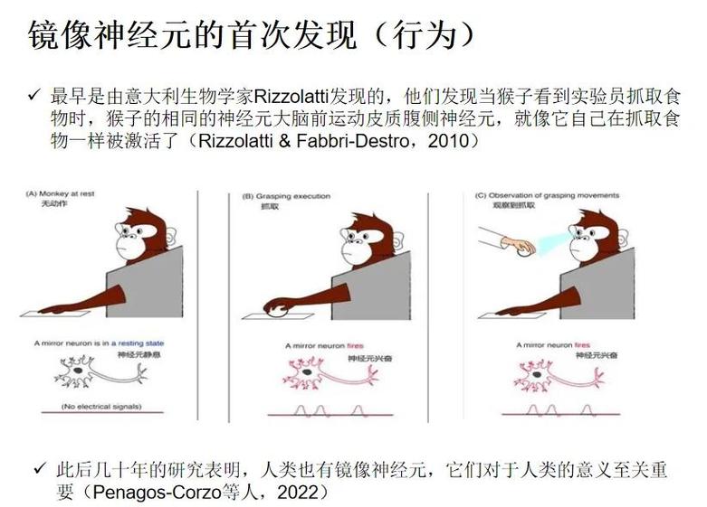 镜像关系by图标