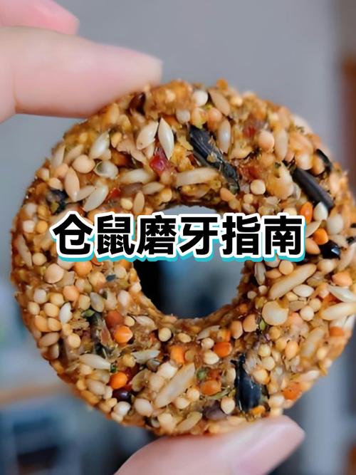 仓鼠难养吗图标