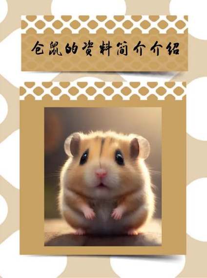 仓鼠可爱名字呆萌小名图标