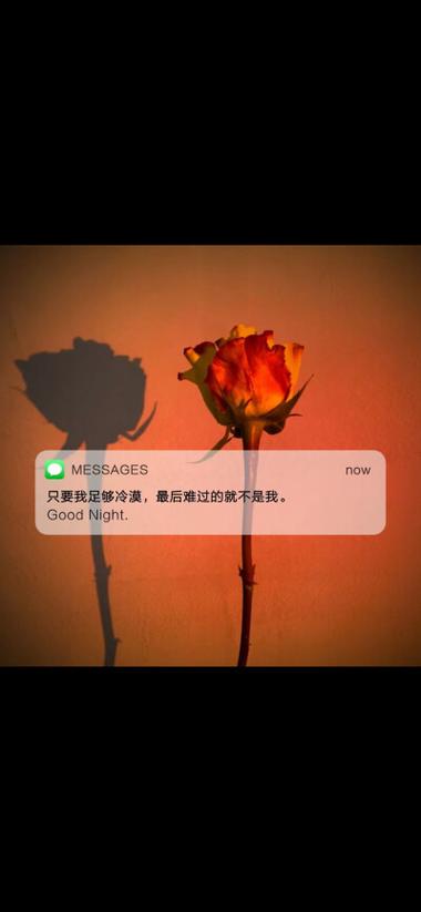 情感爆款文案素材库图标
