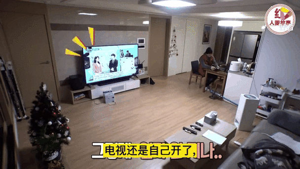 家里电视自己打开了