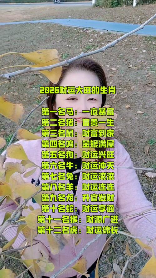 横财缠身三大属相2026截图