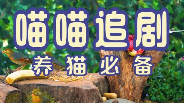 喵喵追剧图标