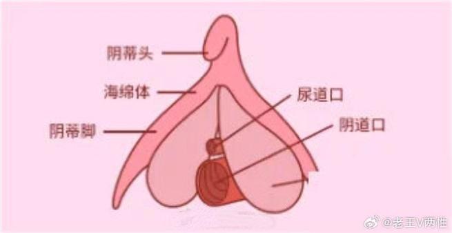豆豆在哪里图标