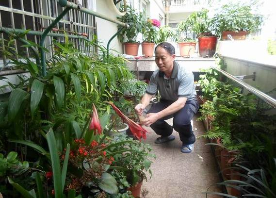 花匠的工作是什么图标
