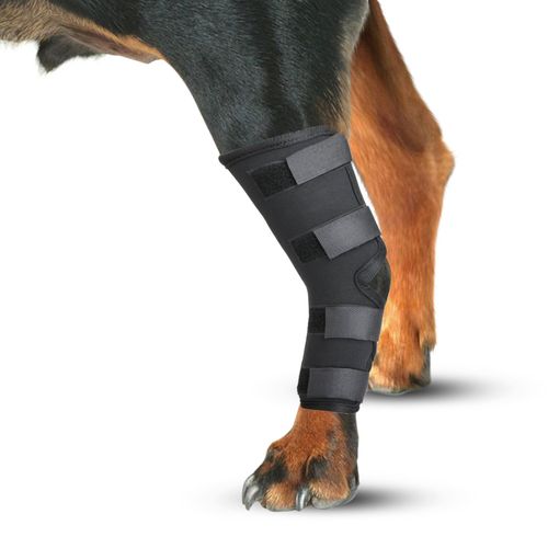 猎犬护具图标