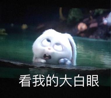 我的大兔子表情包