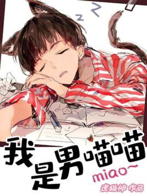 喵喵小说全文阅读图标