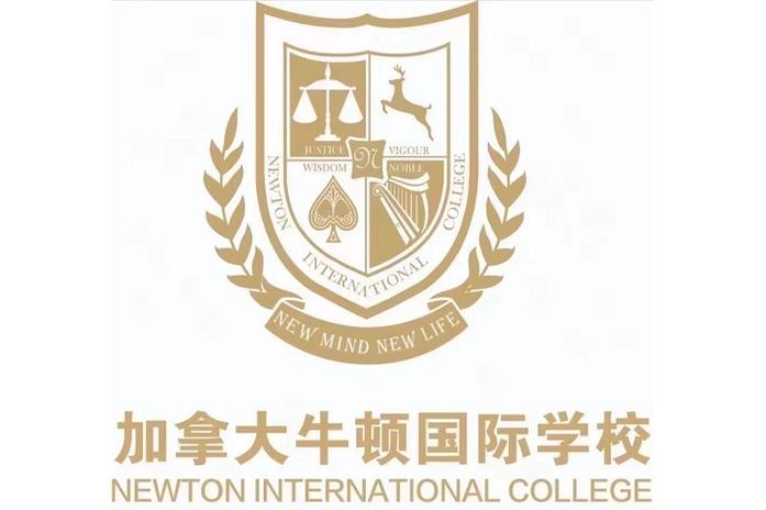 牛顿国际截图