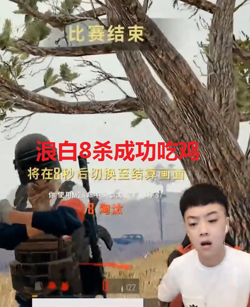 浪白什么意思是什么图标